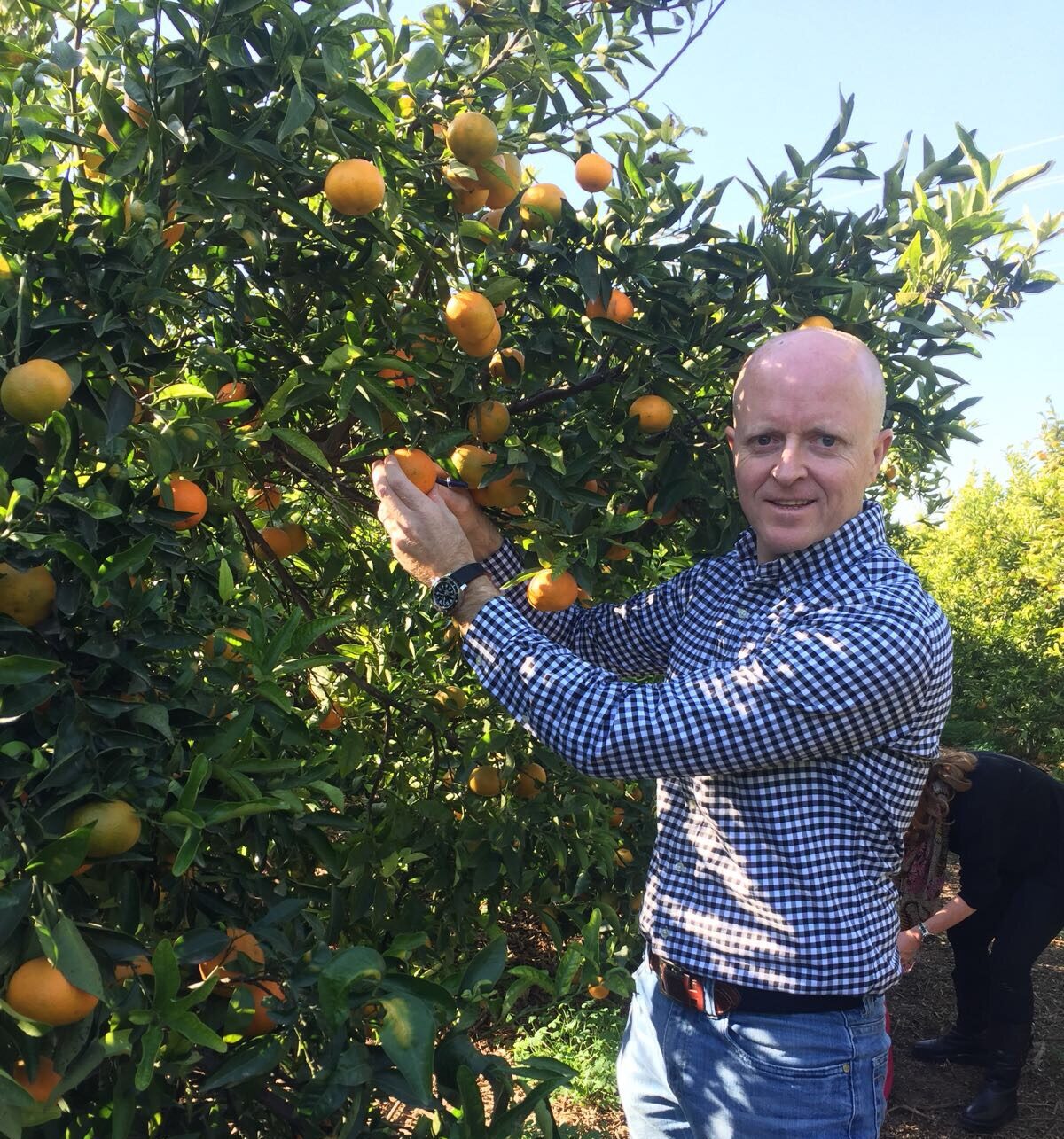 Zummo: hoe het 30 jaar geleden begon - Woertman